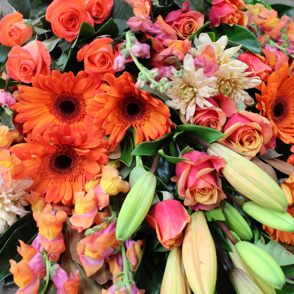 Nati Roses - Buy fresh roses online from Dural Sydney Hills